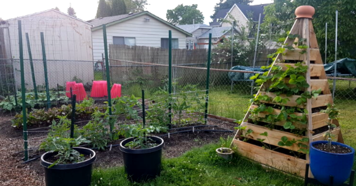Grow A Pyramid Of Plants In Your Garden With A Clever Tower Planter – Diply