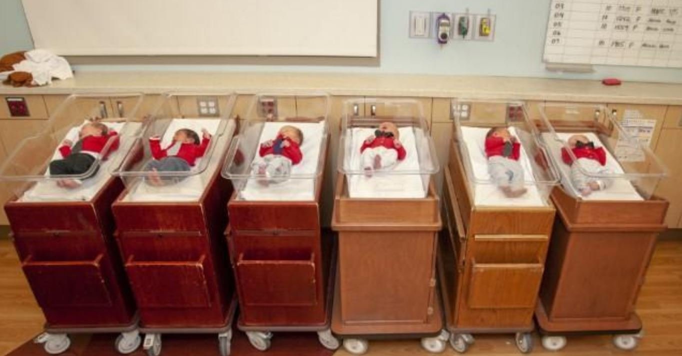 Newborn Babies Dressed As Mr. Rogers In Mini Cardigans Mark World ...