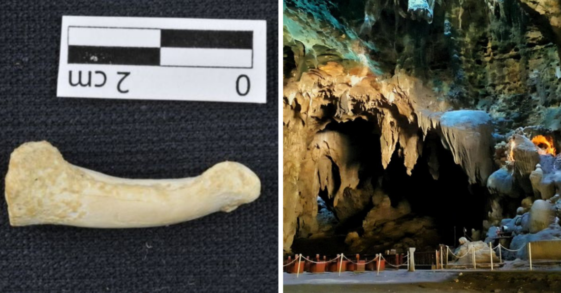 Extinct Human Species From Over 50,000 Years Ago Discovered In Island ...