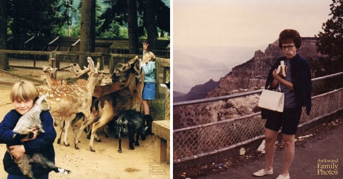 20 Of The Funniest Pics From ‘Awkward Family Photos’ – Diply