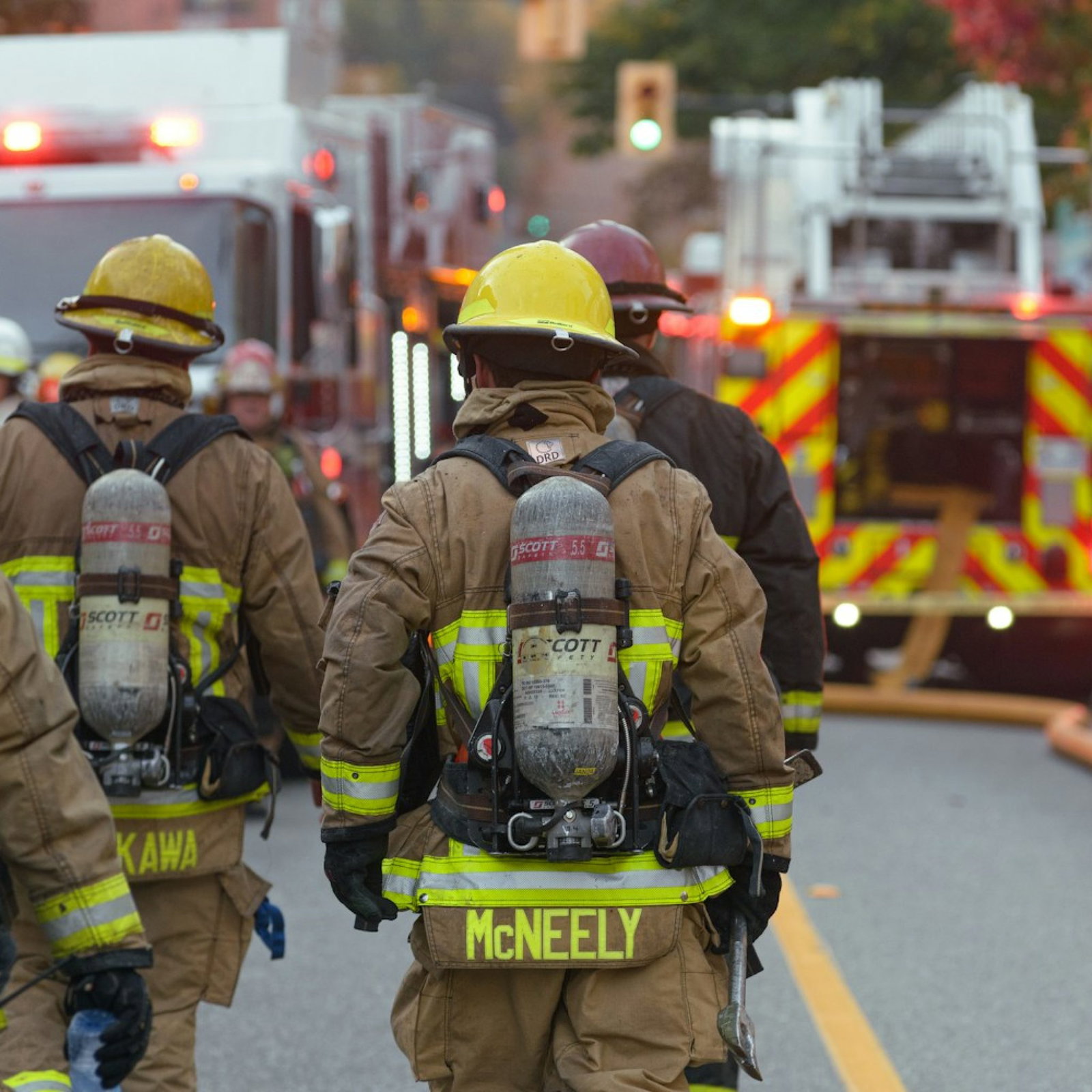 Dog Starts House Fire After Chewing On A Battery On Living Room Carpet ...