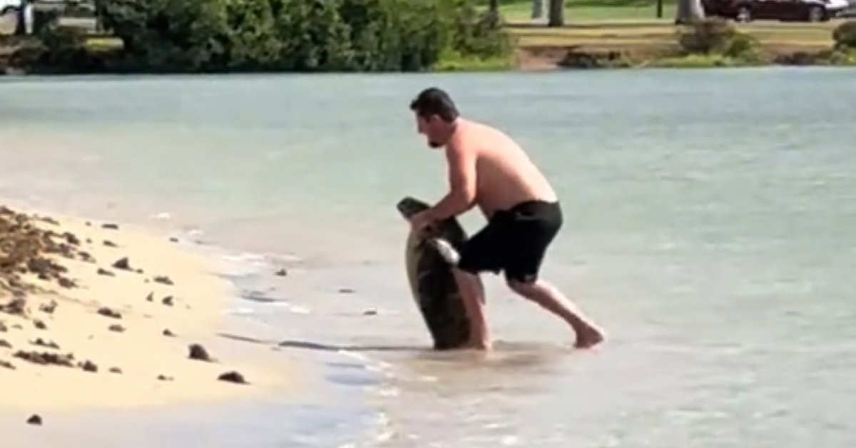 Man Sparks Outrage After Picking Up And Posing With Sea Turtle In Viral ...